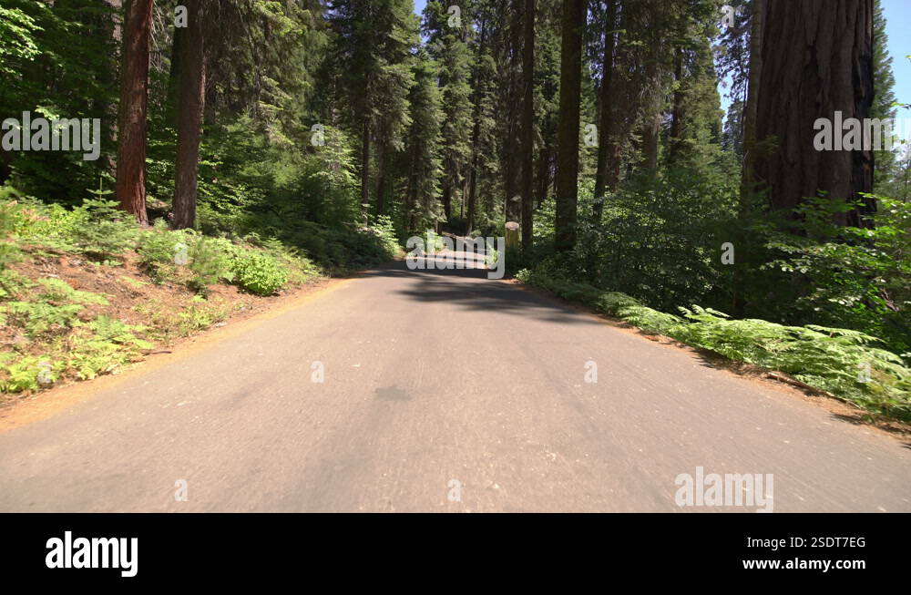 Sequoia National Park Driving Plate Crescent Meadow Rd Westbound 06 ...
