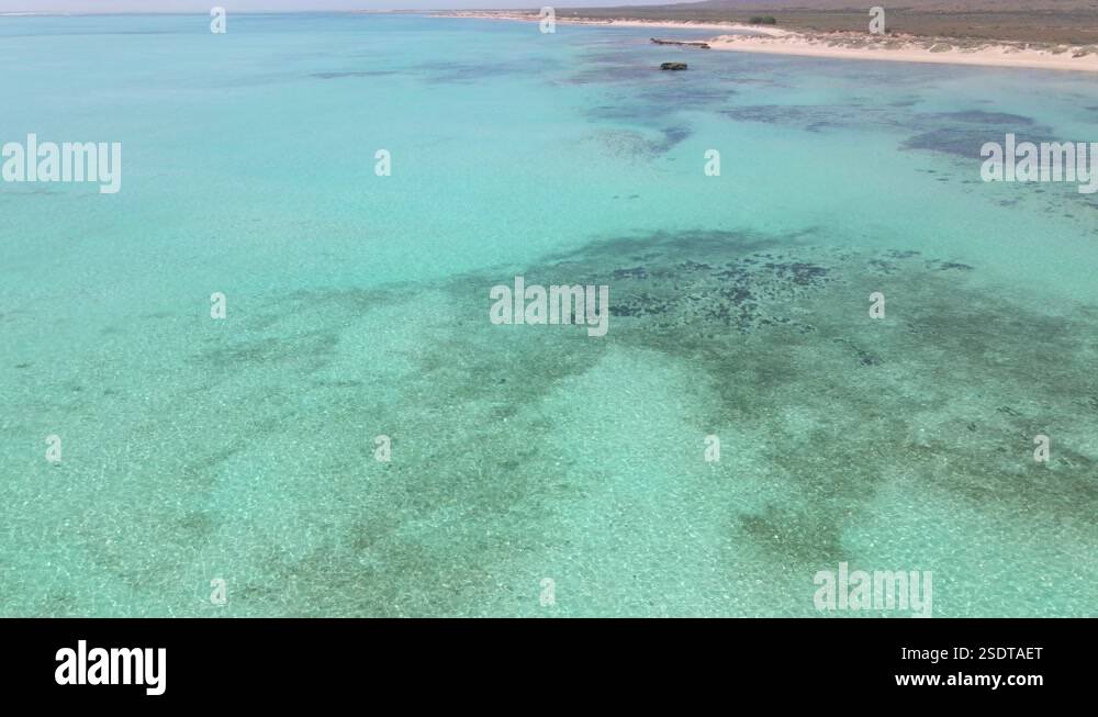 Ecosystem conservation Stock Videos & Footage - HD and 4K Video Clips ...