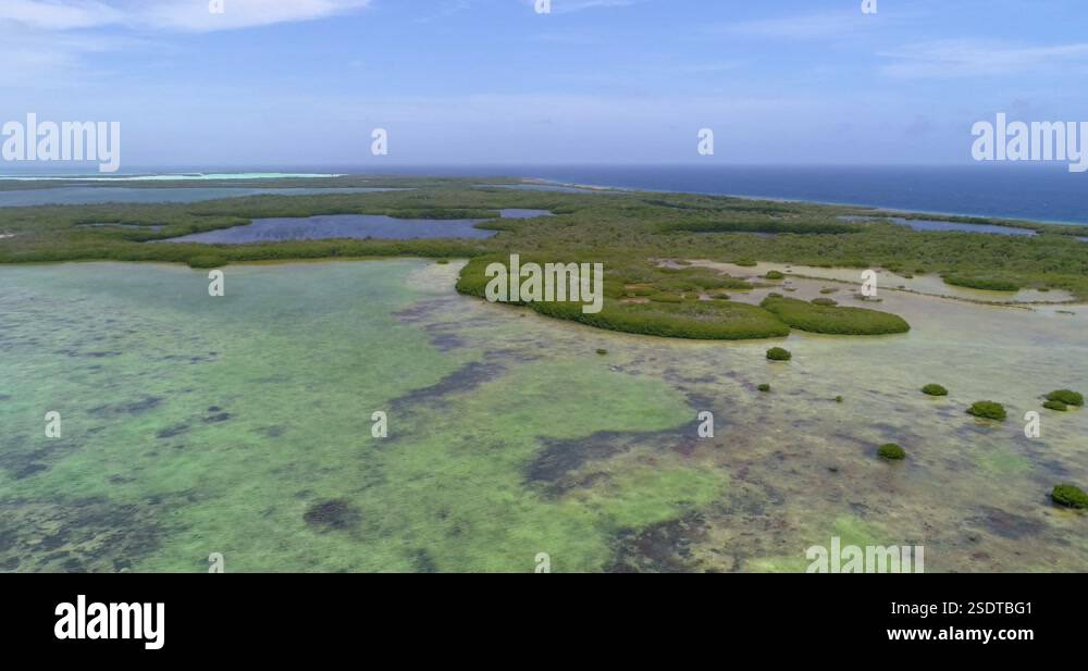 los Roques Venezuela. Green mangrove forest to southern barrier Stock ...