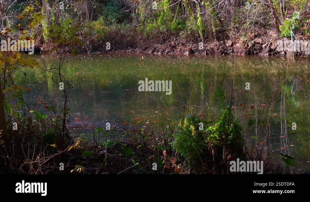 Augusta Canal Trail a calm still river and Fall foliage in the south ...