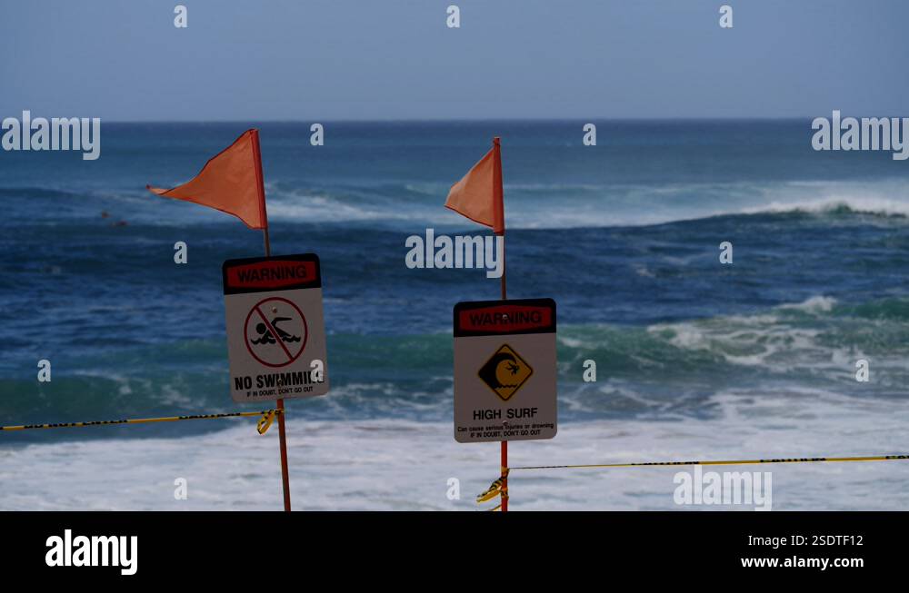 surfing in hawaii with no swim and high surf signs Stock Video Footage ...