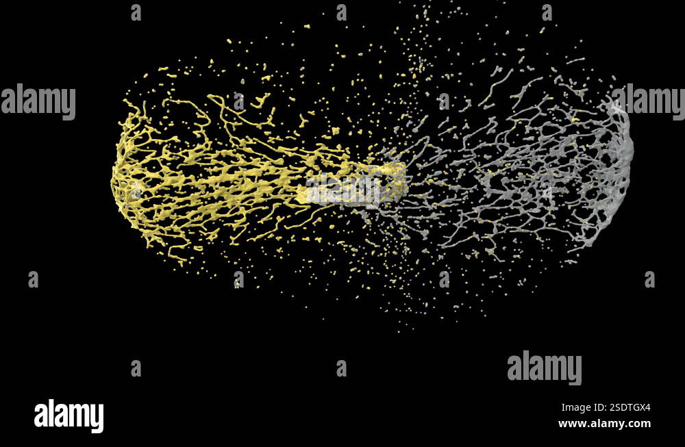 Two drops trendy color yellow and grey collide on black Vibrant colour ...