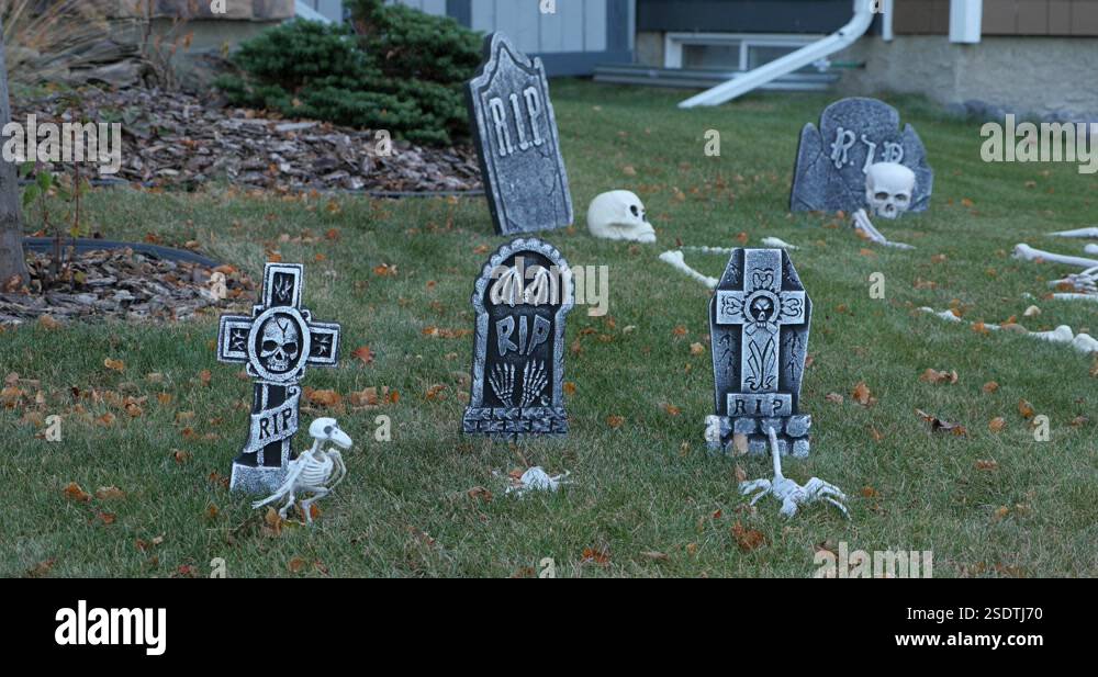 Tombstones and bones at a Skeleton graveyard on Halloween night Stock ...