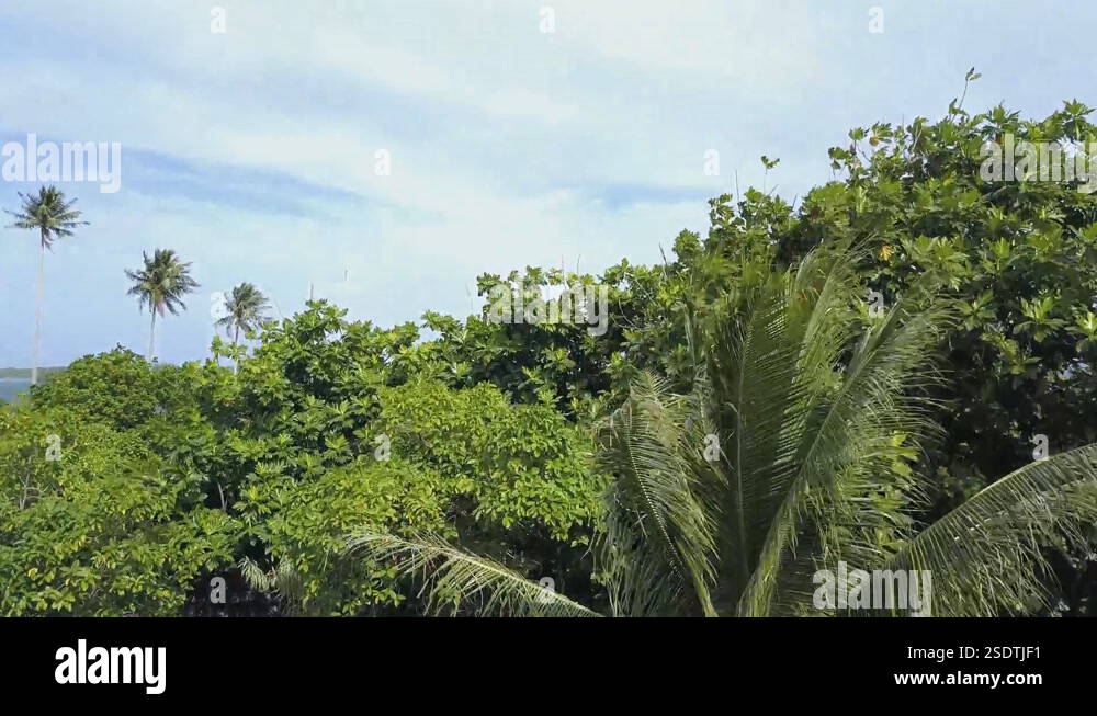Nan Madol - prehistoric ruined stone city built of basalt slabs Stock ...
