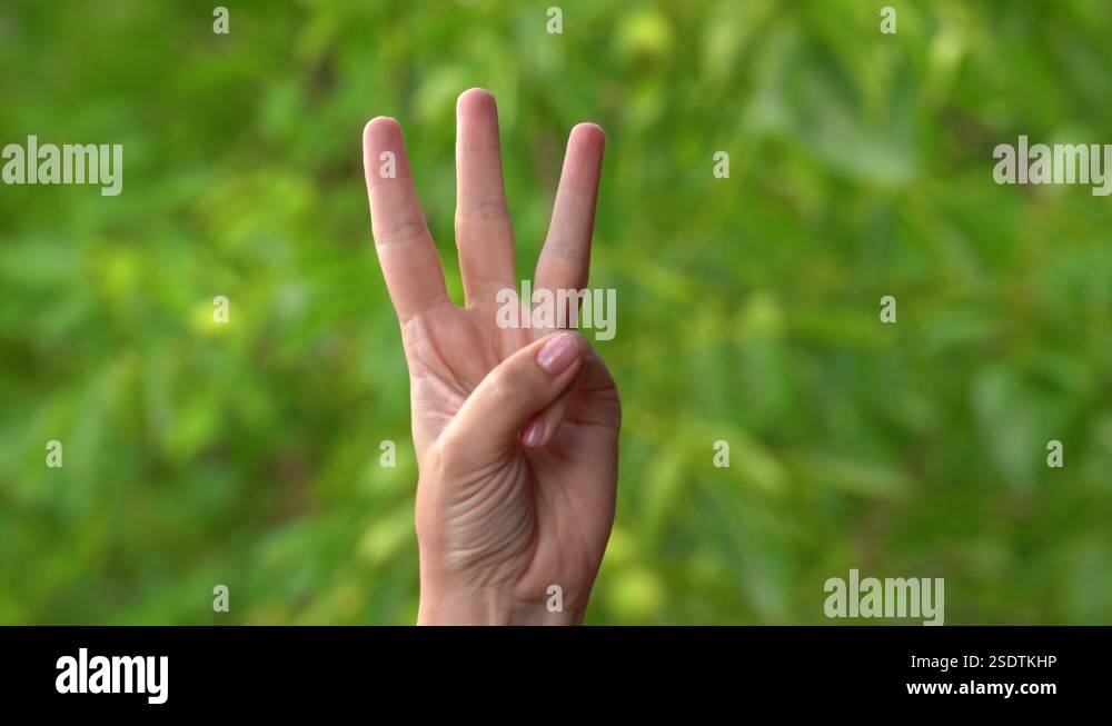 Woman shows fist first, then one, two, three, four, five fingers Stock ...