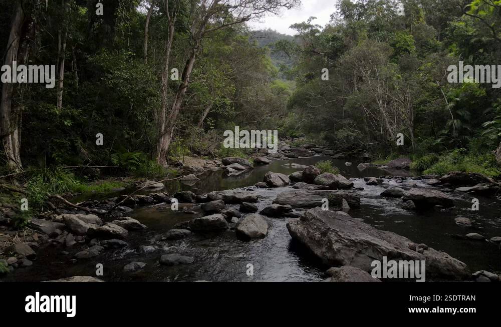 Travelling upstream along a secluded creek with the water flowing ...