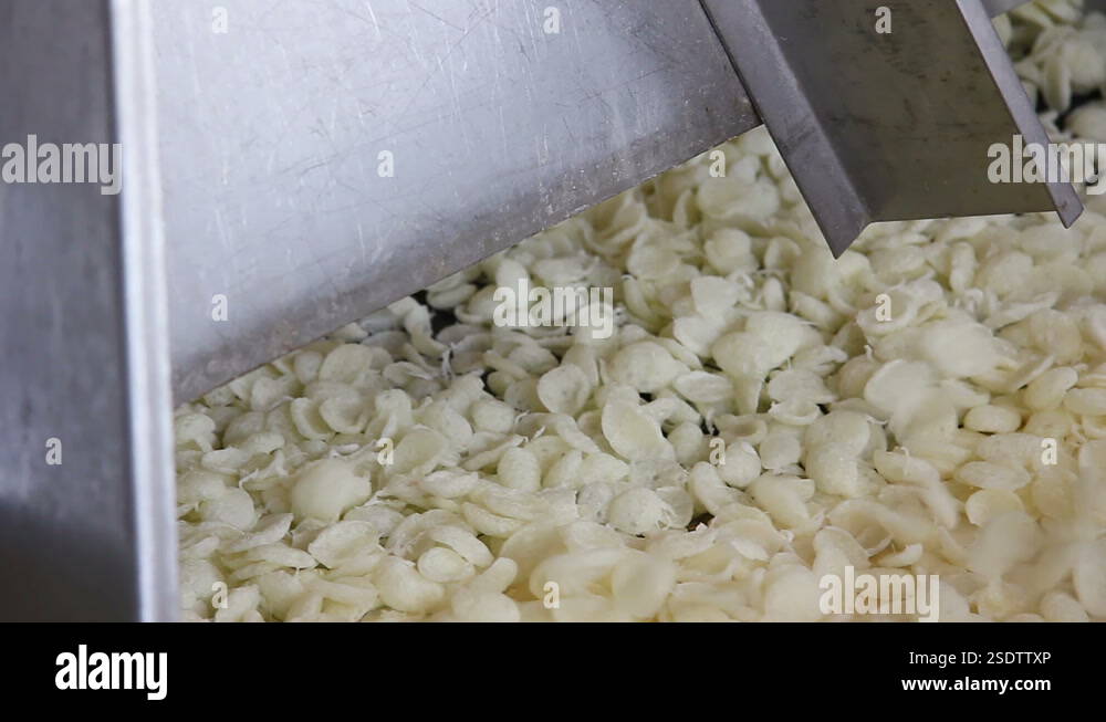 Corn starch flakes on a conveyor belt in food processing plant Stock ...