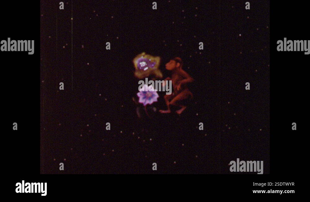 1960s: Single-cell organism, a flower and a monkey in space, inside a ...