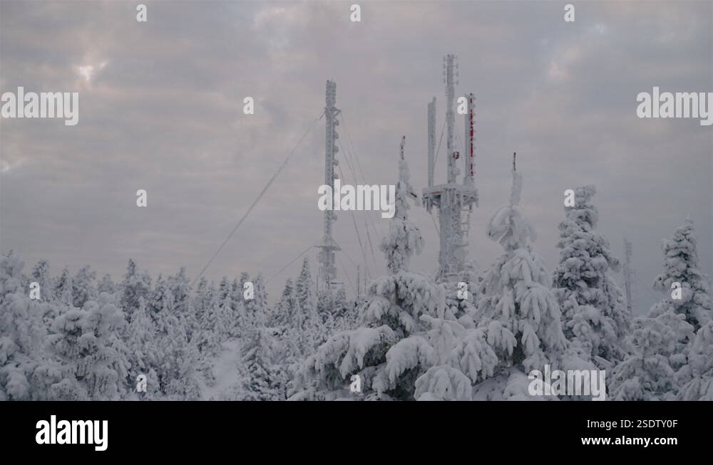 Coniferous Tree In Forest And Antenna Towers At Mont Orford Ski Resort ...