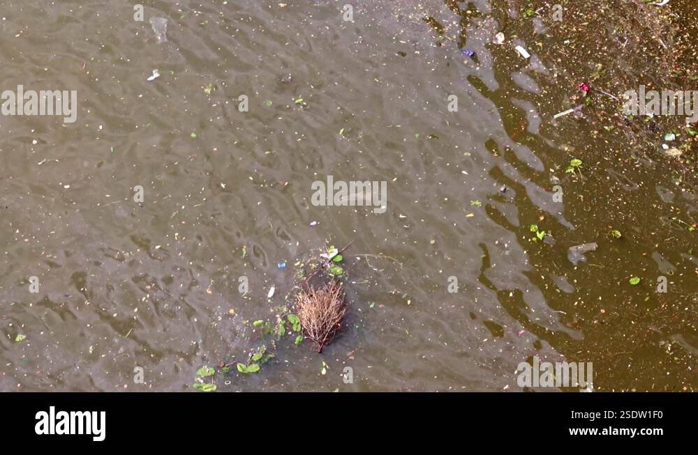 garbage and urban mud Stock Video Footage - Alamy