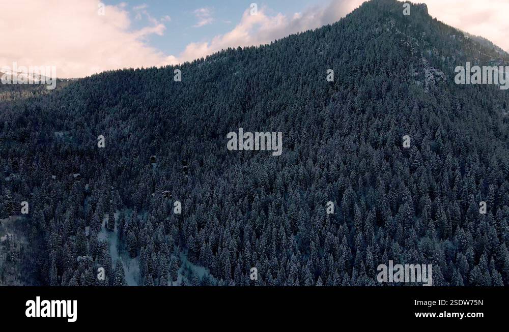 View Of Remote Forest Near Mountain Range Against Cloudy Sky At ...