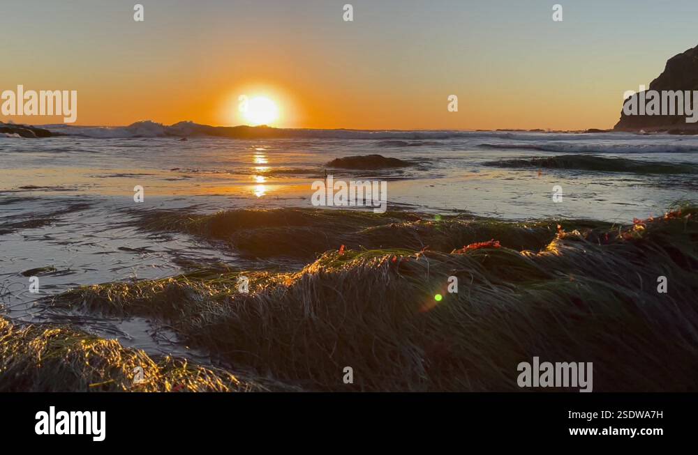 King Tides are the highest high tides of the year, about a foot or two ...