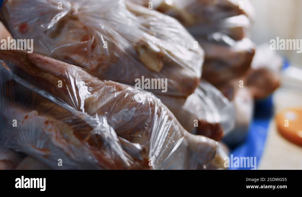 Close-up view of packed chicken legs into individual plastic bags ...