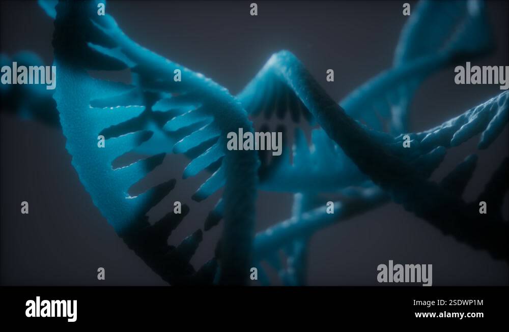 loop double helical structure of dna strand close-up animation Stock ...