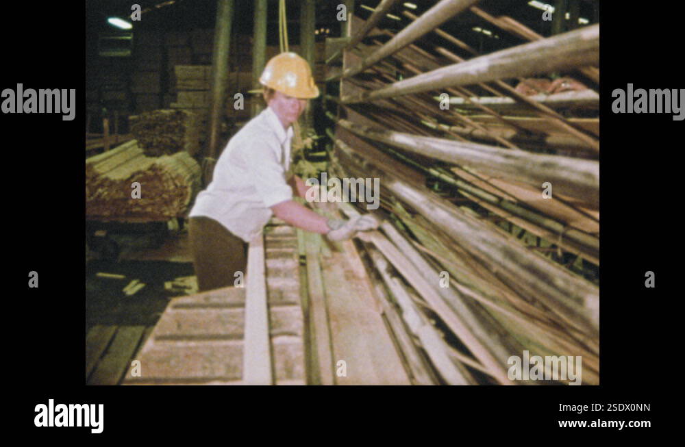 Lumber works Stock Videos & Footage - HD and 4K Video Clips - Alamy