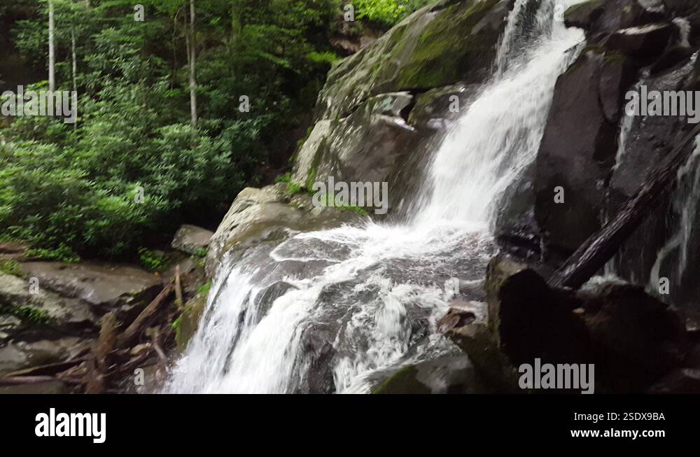 Streaming water in waterfall Stock Videos & Footage - HD and 4K Video ...