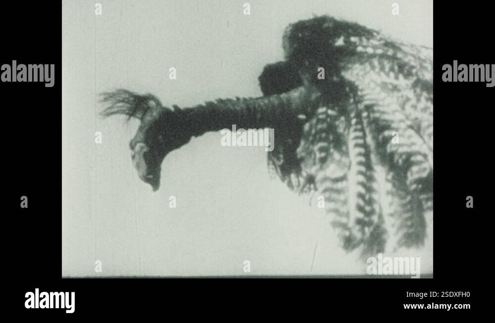 1970s: Train moves down tracks. Giant buzzard lifts train and flies ...