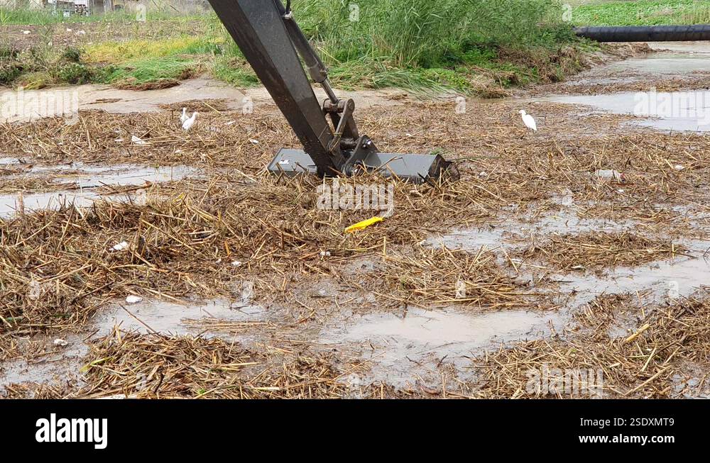 A huge backhoe loader clears twigs and branches for draining a clogged ...