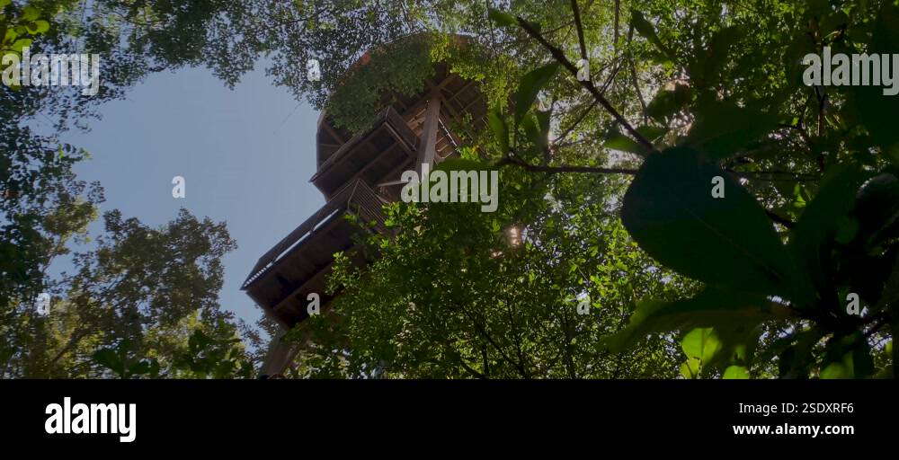 Looking Up On Jejawi Tower With Sunlight In Pulau Ubin, Singapore Stock ...