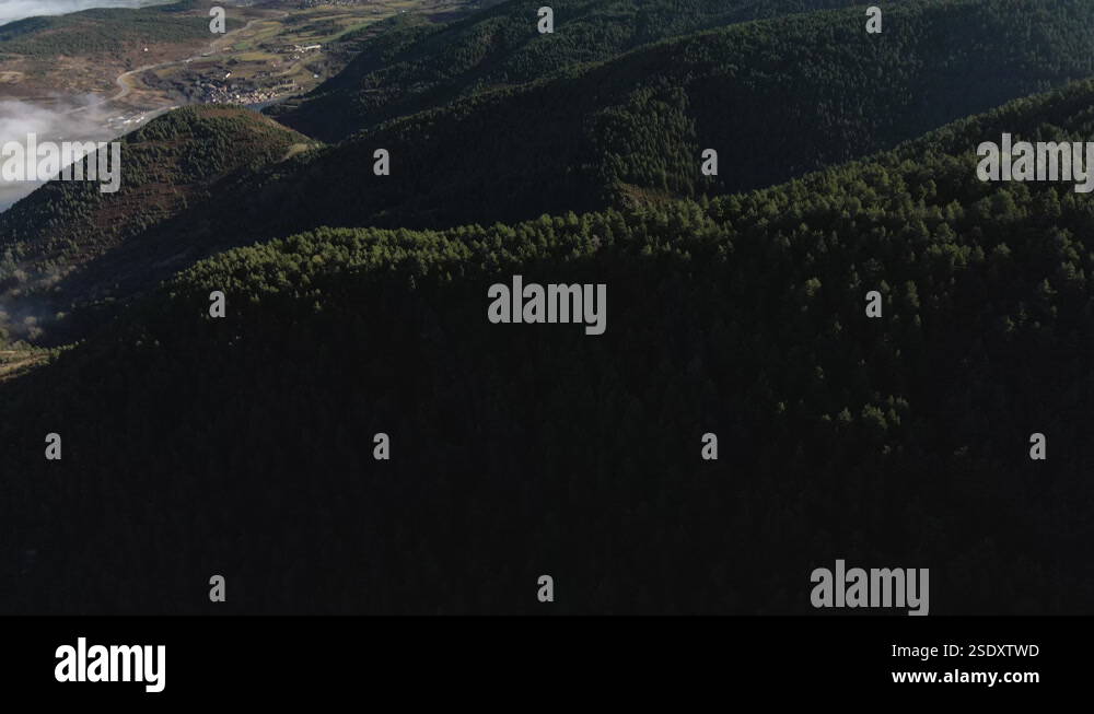 Forest in the mountains of La Cerdanya. Viewing the forest and then ...