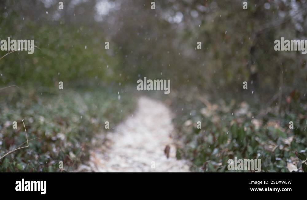 Falling branch trail Stock Videos & Footage - HD and 4K Video Clips - Alamy