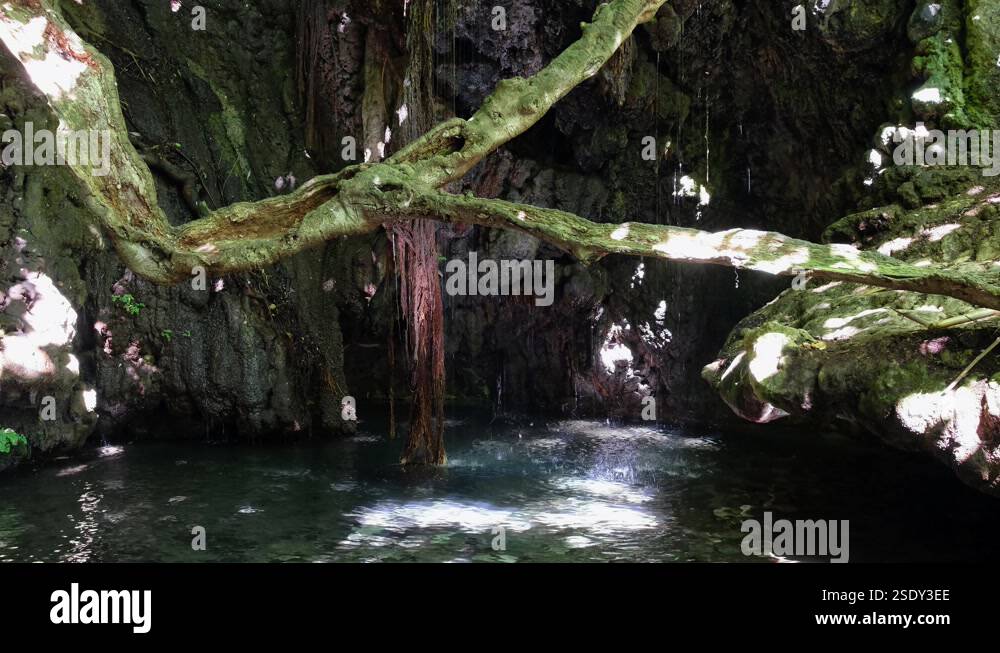 Baths of Aphrodite - the pool in the natural cave in Botanical garden ...