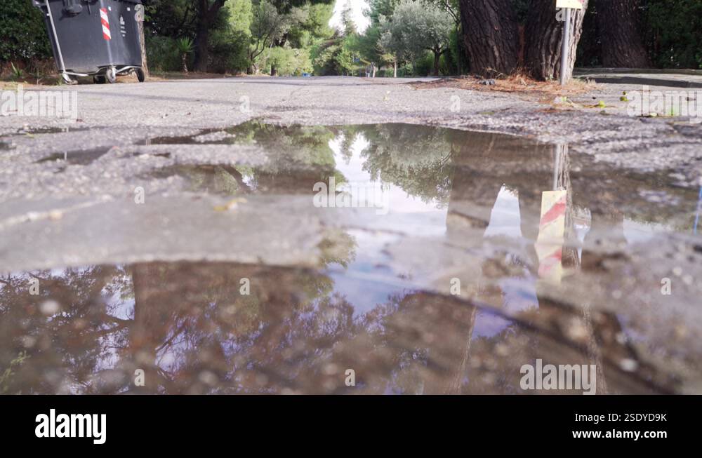 Tilt up shot from pond of rain water, to empty small road with trees 4k ...