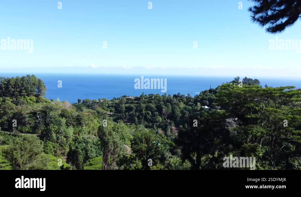 Beautiful drone flight over the hills of Arue in Tahiti, French ...