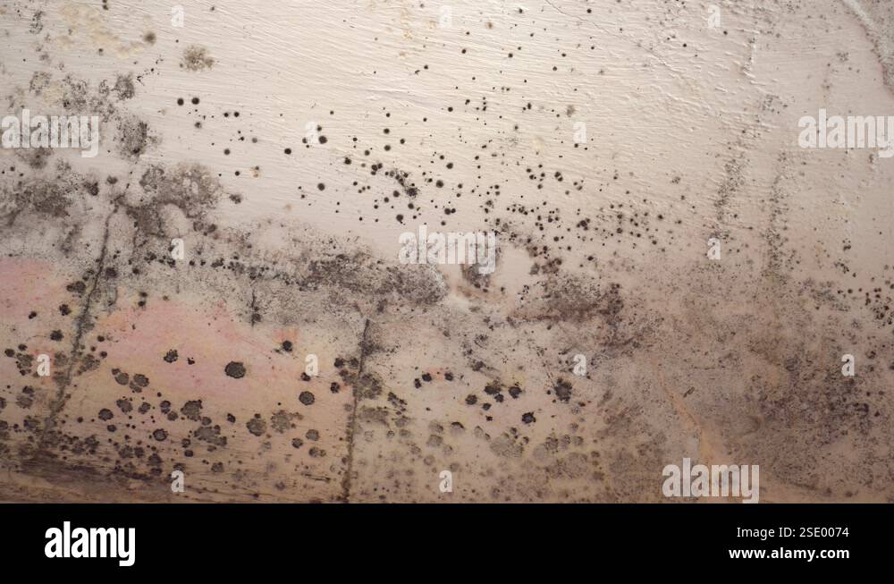Moisture from water damage, water leaks, condensation, water ...