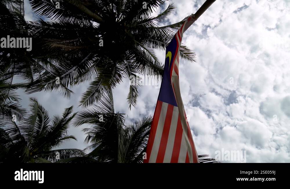 Coconut waving Stock Videos & Footage - HD and 4K Video Clips - Alamy