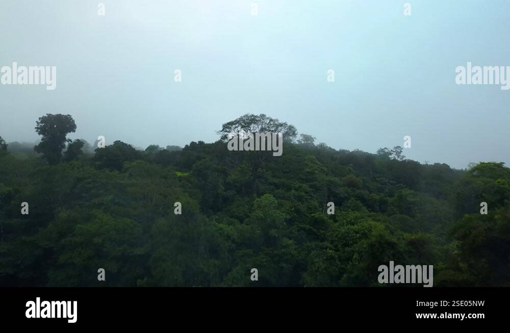 View over the amazon rainforest Stock Videos & Footage - HD and 4K ...