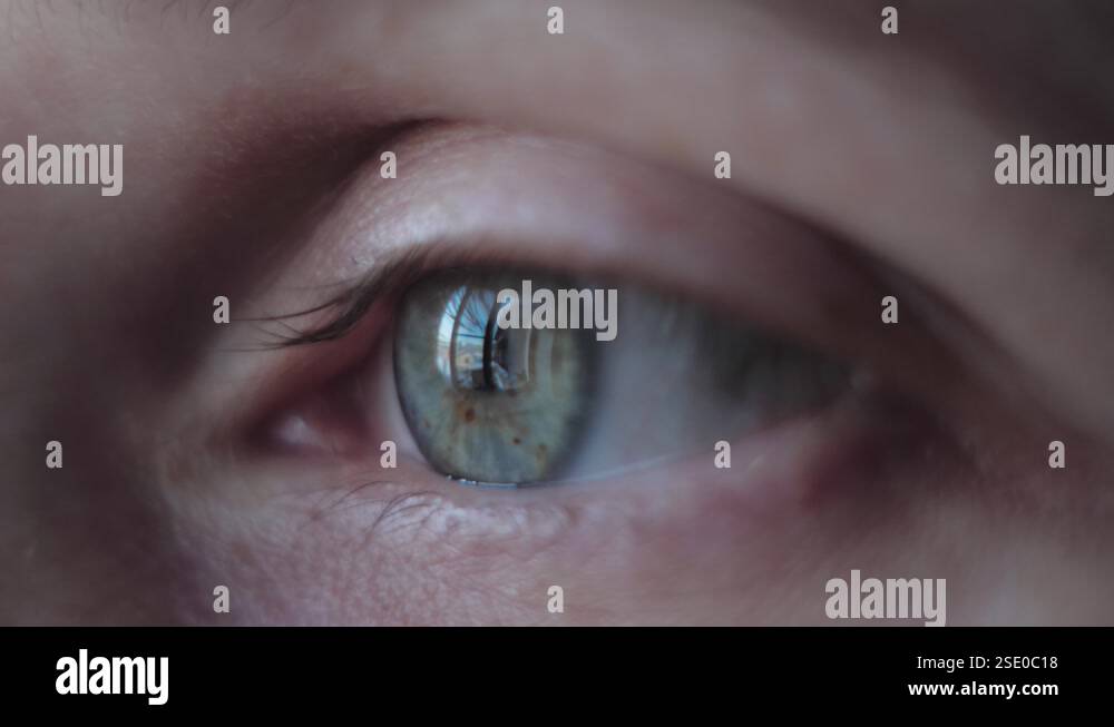 Blue eye Close Up. Macro shot opening eye. Human eye iris opening pupil ...