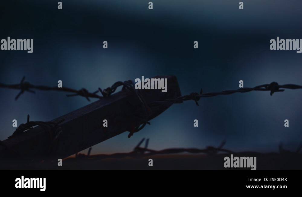 barbed wire fence close up , evening low light shot Stock Video Footage ...