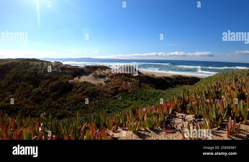 Colorful beach landscape on top of sand dunes covered in coastal ice ...