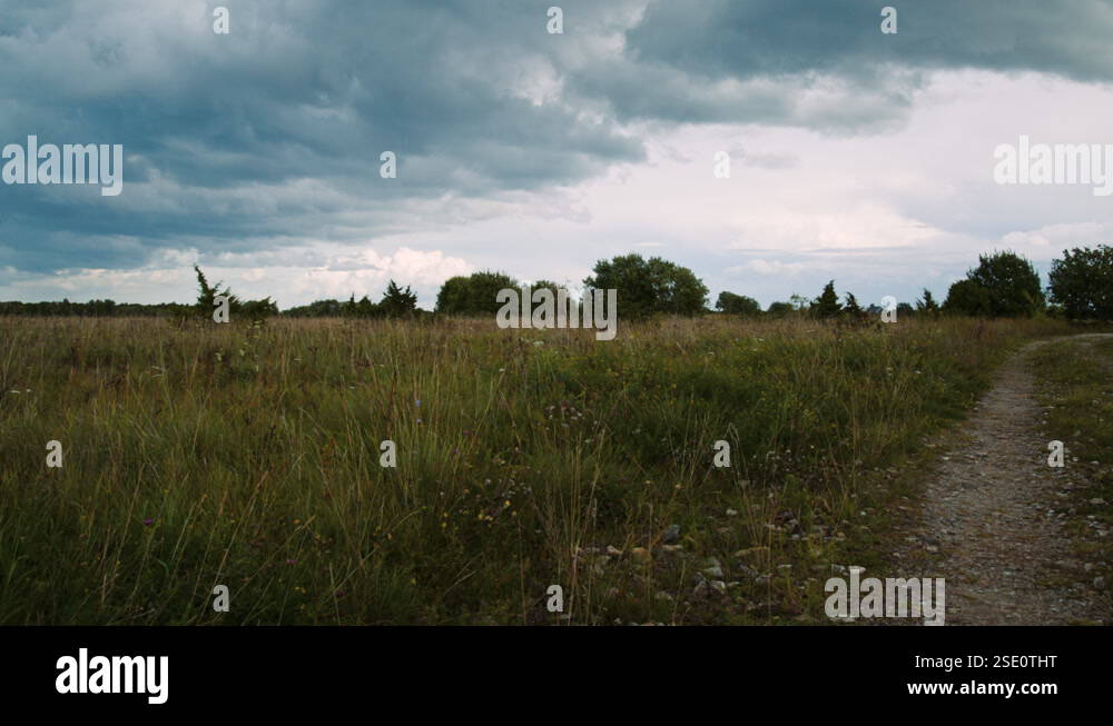 Tiny house along dirt road Stock Videos & Footage - HD and 4K Video ...