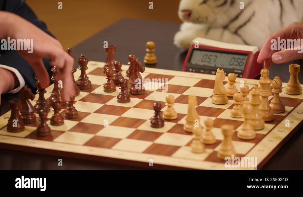 Chessgrandmasters Stock Videos & Footage - HD and 4K Video Clips - Alamy