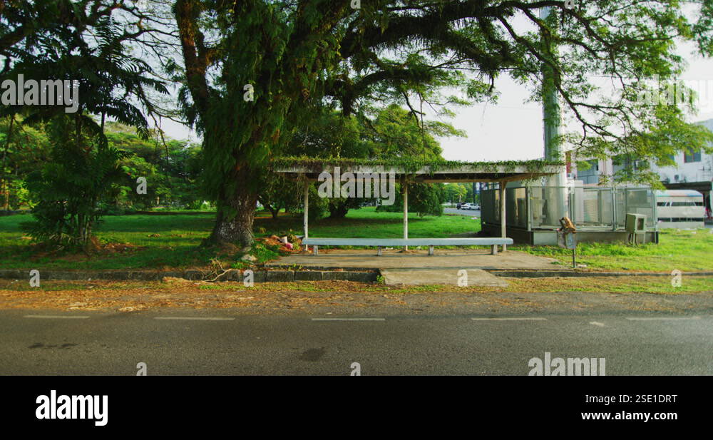 Jungly Bus Stop in the Town of Miri, East Malaysia Stock Video Footage ...