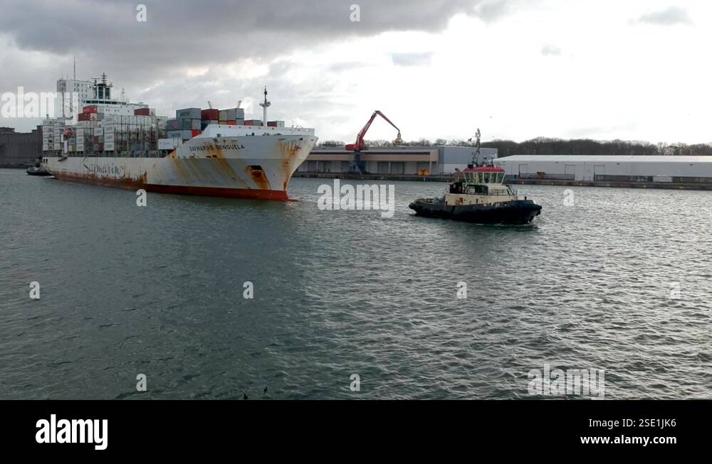 Rising tilt down shot cargo ship sailing Antwerp port birds fly by ...