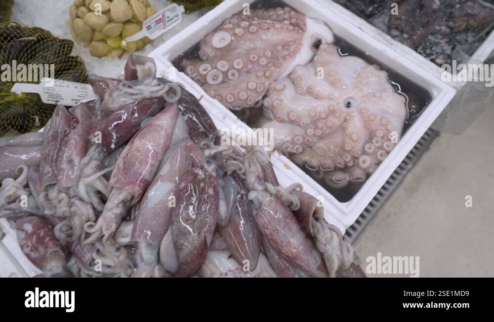 Octopus, Squids and seafood displayed on ice in a fish shop Fishmonger at Stock Video Footage ...