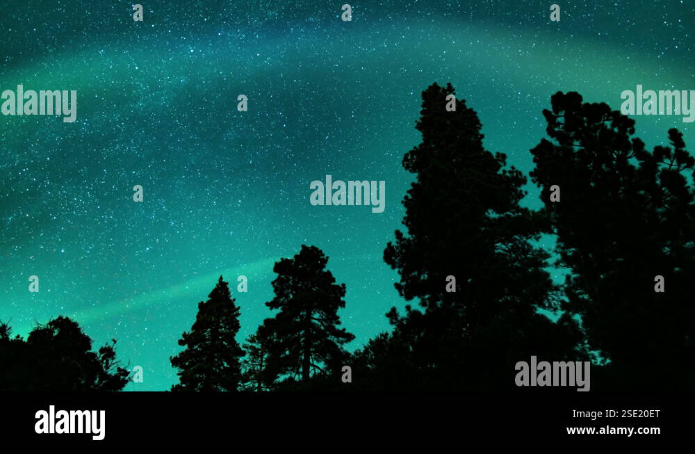 Aurora Borealis Arch Green and Milky Way Galaxy Loop Winter Forest ...