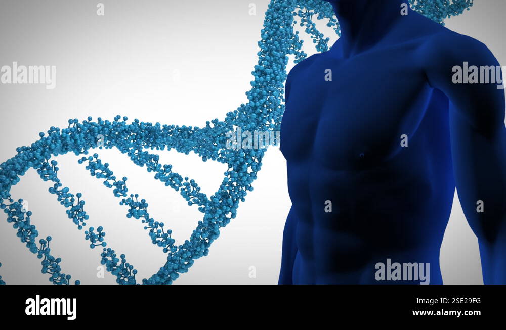 Animation blue 3d human model Stock Videos & Footage - HD and 4K Video ...