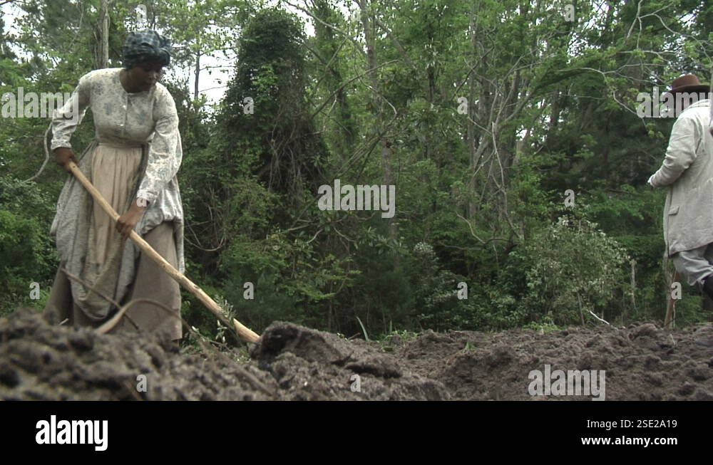 Slavery Portrayal - planting seeds in a fresh field - 19th century ...