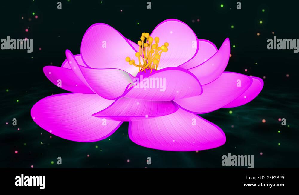 Rotating Pink Blooming Flower in side view Of Sleeping Beauty Water ...