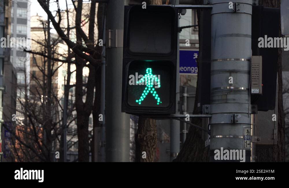 Pedestrian traffic lights - green blinking light changing to the red ...