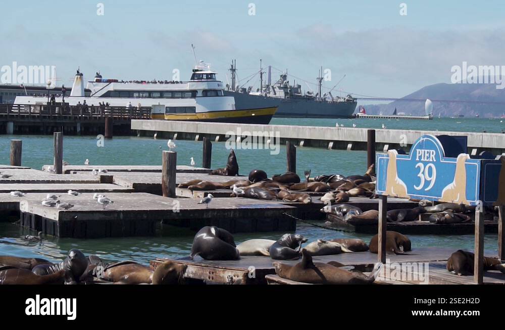 Fisherman colony Stock Videos & Footage - HD and 4K Video Clips - Alamy