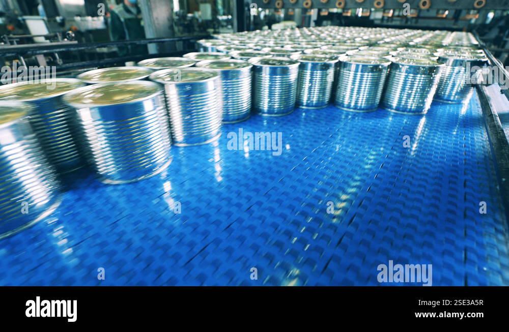 Batches of sealed tin cans are moving along the conveyor belt. Food ...