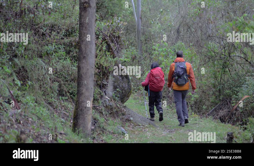 Couple walking in the forest, inca trail, peruvian trekk, road to Stock ...