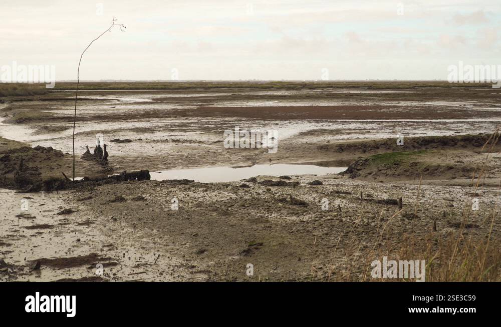 4K muddy river bed in a low tide with some water flowing down the river ...