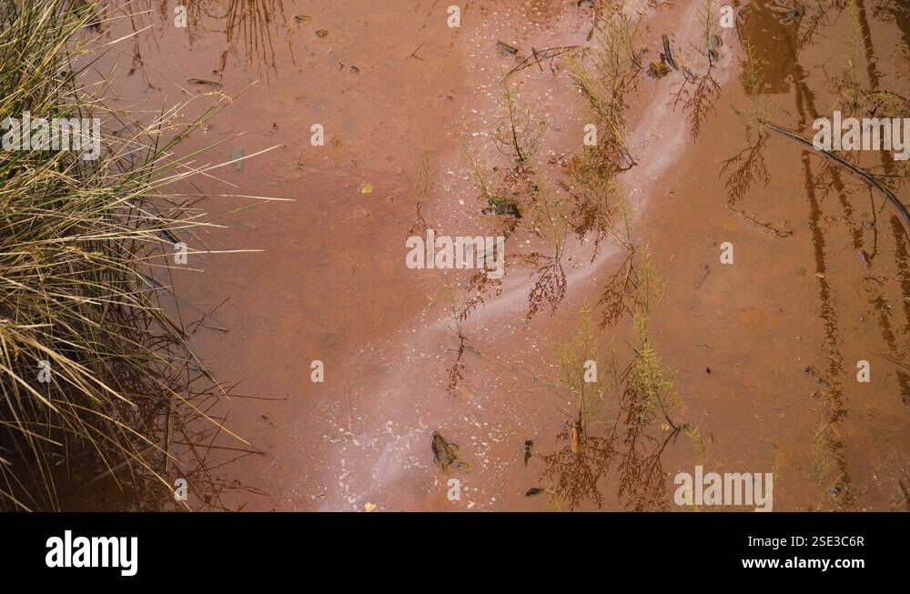 4K muddy river bed in a low tide with some water flowing down the river ...