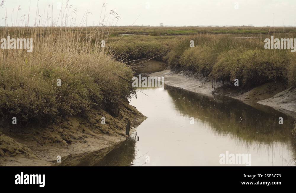 4K muddy river bed in a low tide with some water flowing down the river ...